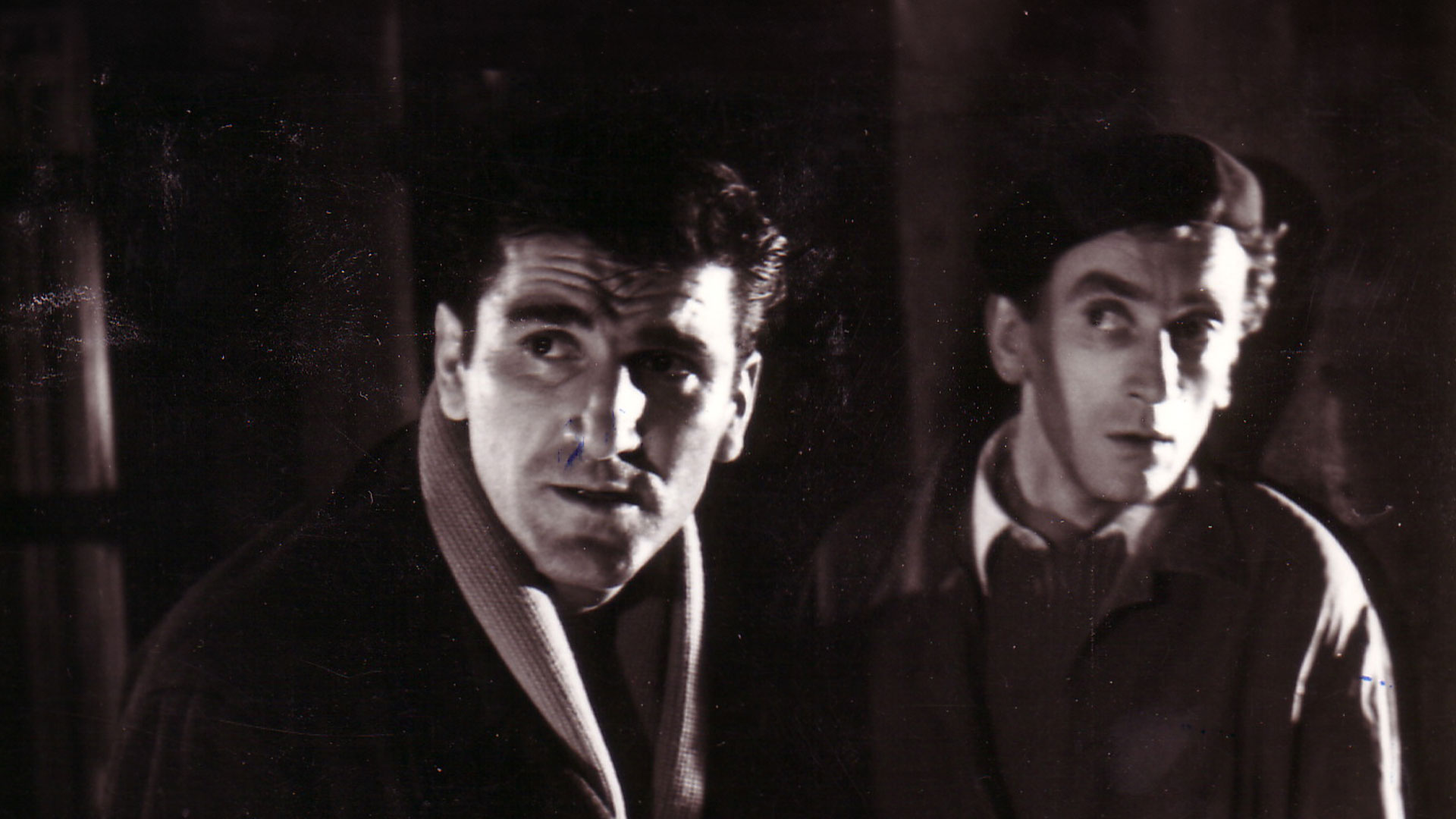 TE NOĆI - SUPERSTAR TV