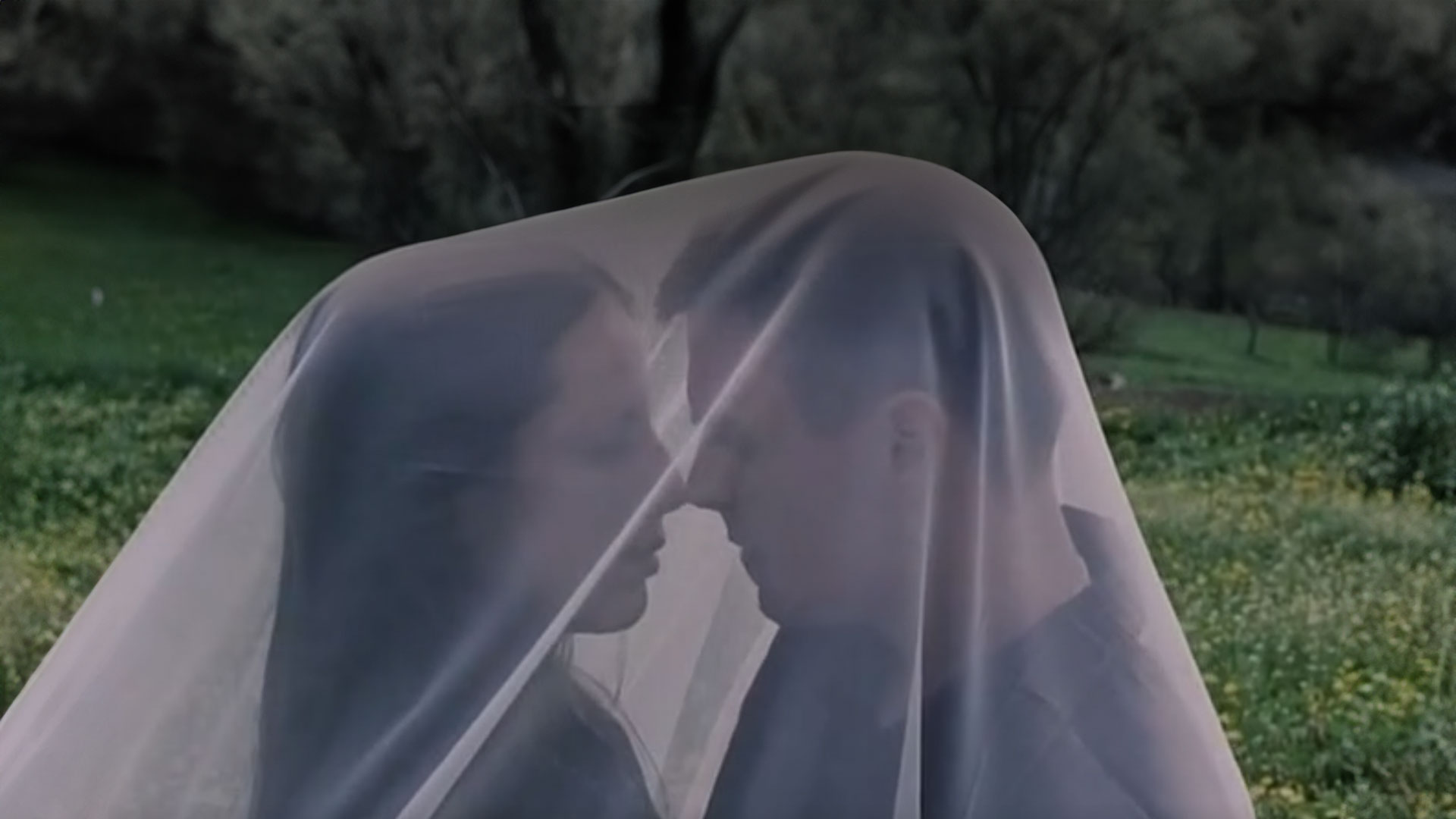 STVAR SRCA - SUPERSTAR TV